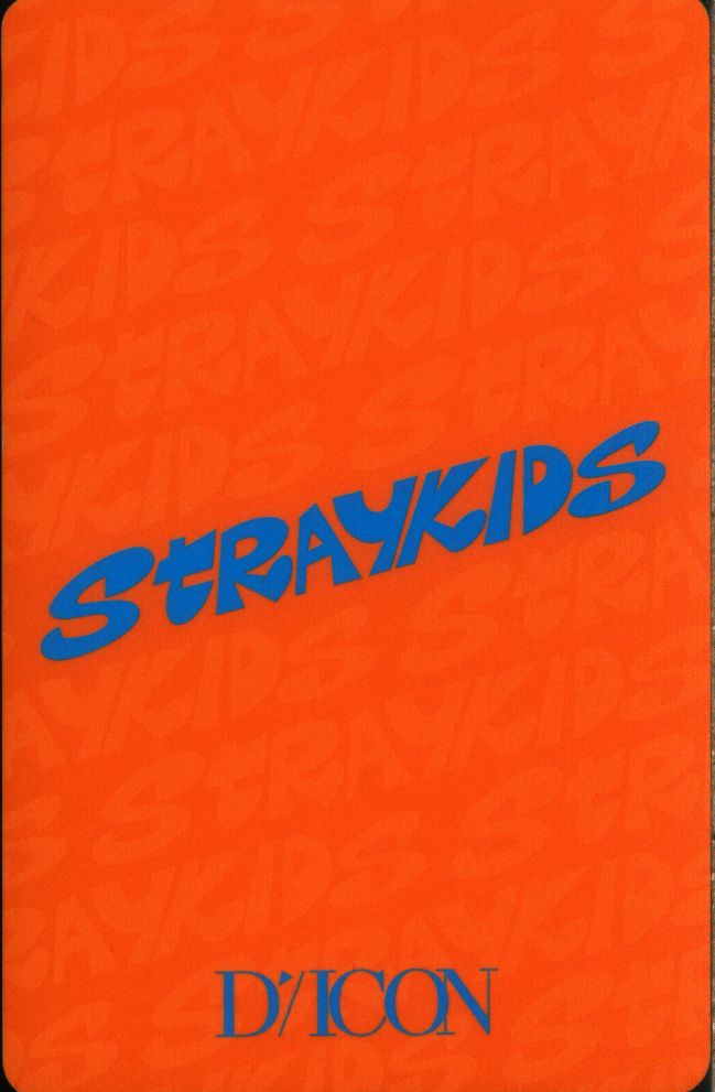 StrayKids 集合 D'/ICON 2/2 | まんだらけ Mandarake