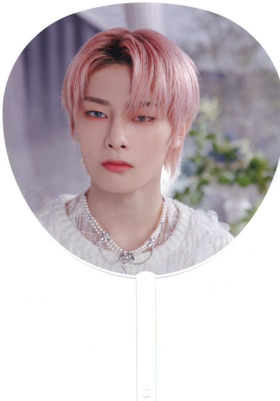 StrayKids 2023MANIAC ENCORE inJAPAN I.N IMAGE PICKET | まんだらけ Mandarake