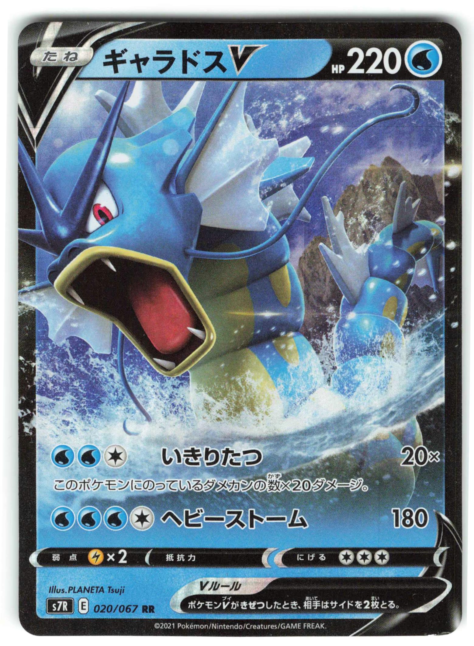 Pokemon S7R 020/067 ギャラドスV RR | まんだらけ Mandarake