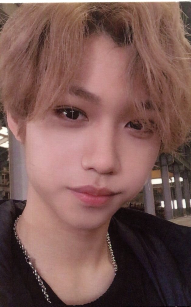 StrayKids FELIX I am NOT セルカ | まんだらけ Mandarake