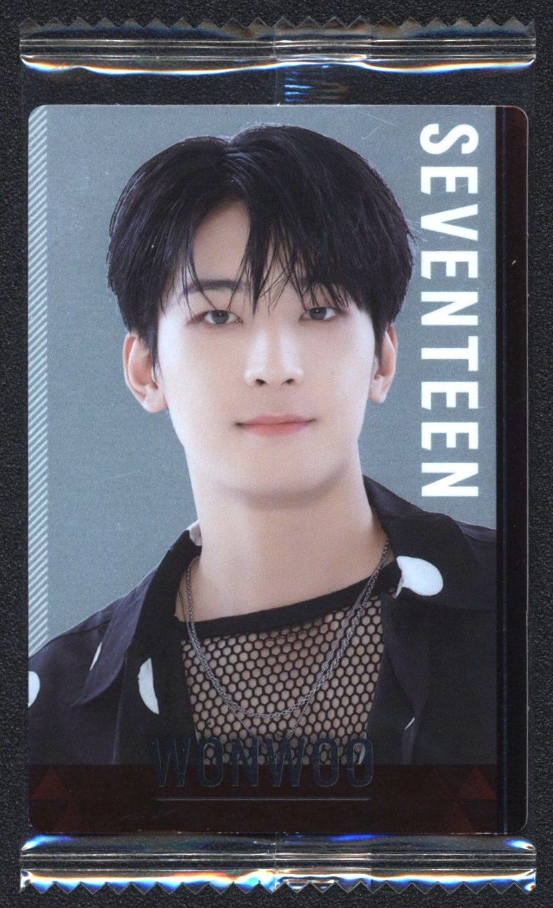 SEVENTEEN WONWOO SVTツインウエハース N-06 | まんだらけ Mandarake