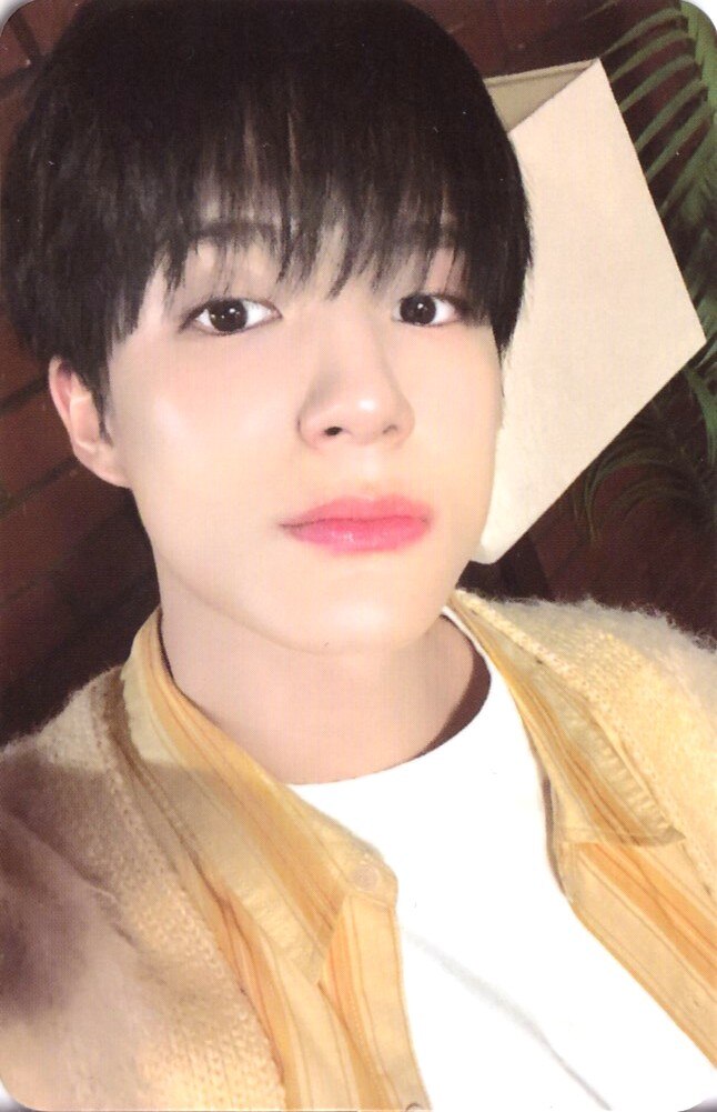 NCT DREAM icantfeelanything ver. JENO 2024 DREAM( )SCAPE ZONE POP-UP MD C | まんだらけ Mandarake