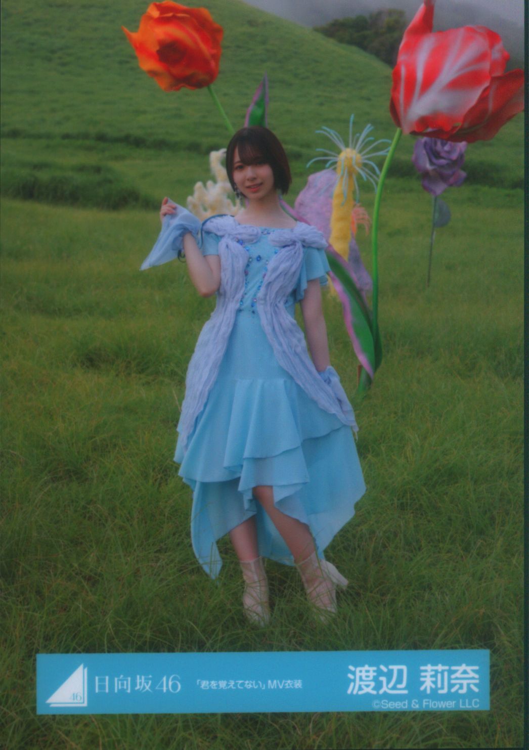日向坂46 12th Single ひなた坂46 LIVE 渡辺莉奈 「君を覚えてない」MV衣装(カラフル) ヒキ | まんだらけ Mandarake