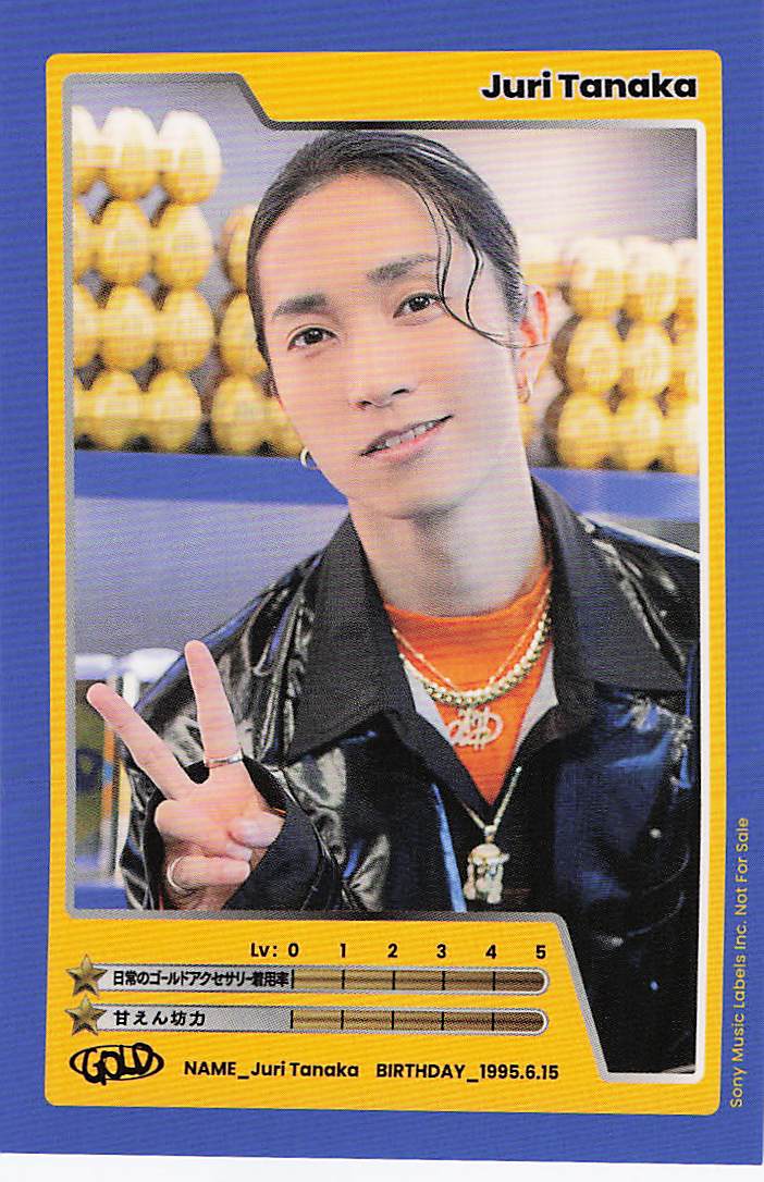 SixTONES GOLD 田中樹 日常に、トレカを。 | まんだらけ Mandarake
