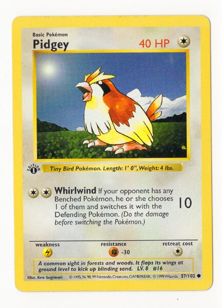 Pokemon 初期他言語 57/102 【英】Pidgey/ポッポ | まんだらけ Mandarake