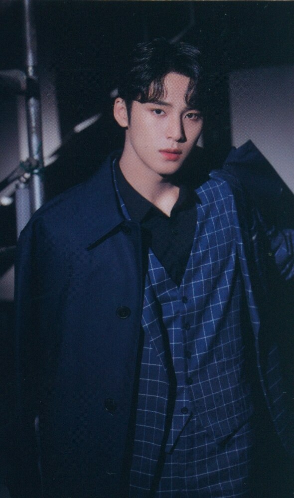 SEVENTEEN MINGYU 2021 Holiday Collection 黒 | まんだらけ Mandarake
