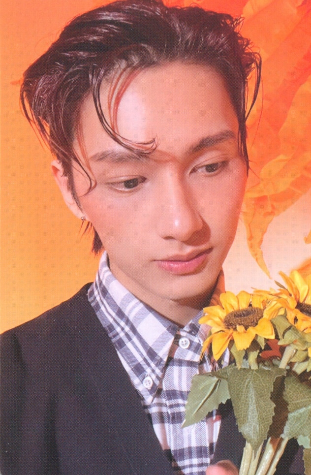 SEVENTEEN 17 IS RIGHT HERE JUN トレーディングカード HERE | まんだらけ Mandarake