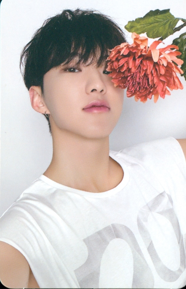SEVENTEEN HOSHI 17 IS RIGHT HERE DEAR | まんだらけ Mandarake