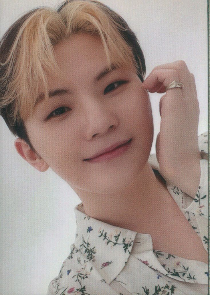 SEVENTEEN WOOZI 2022 SEVENTEEN'S HOME 111 | まんだらけ Mandarake