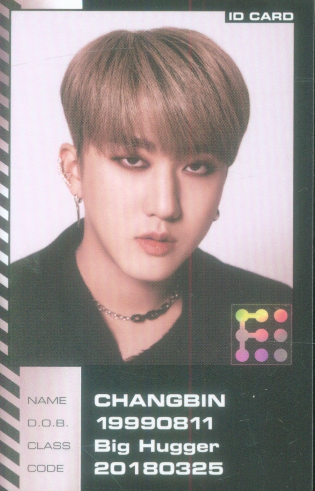 StrayKids ODDINARY Changbin IDカード | まんだらけ Mandarake