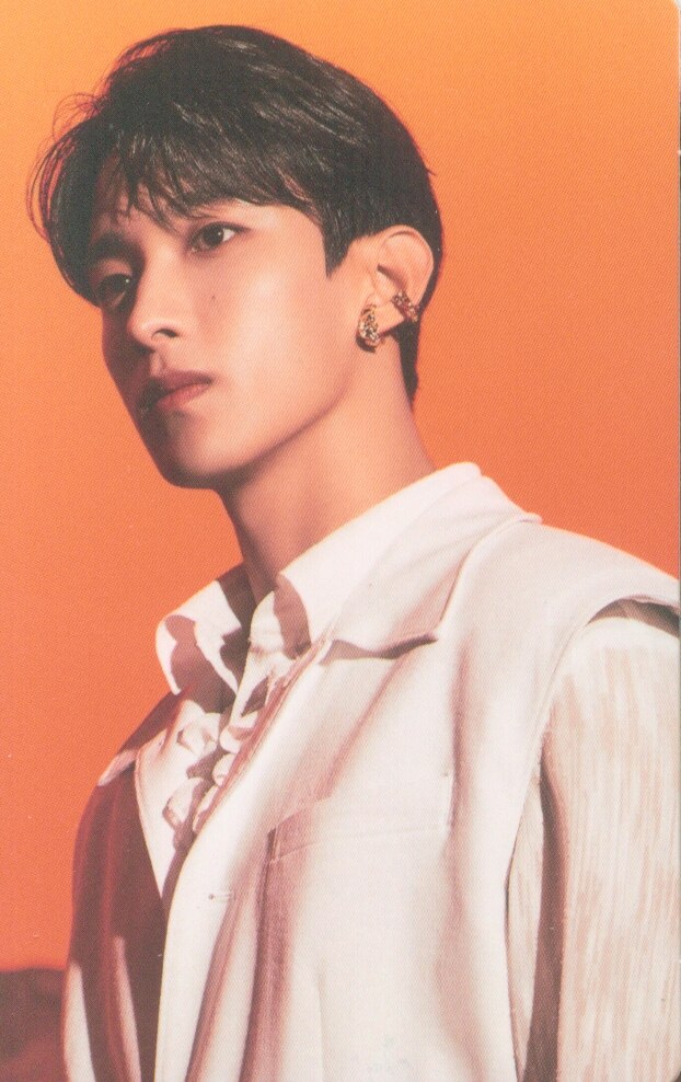 SEVENTEEN DK 2022 WORLD TOUR 'BE THE SUN' 30/82 | まんだらけ Mandarake