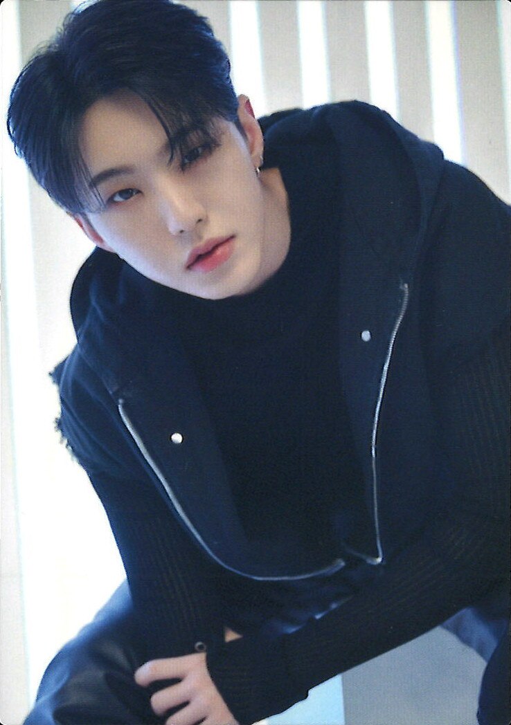 SEVENTEEN HOSHI 2024 FOLLOW AGAIN TO JAPAN 31 | まんだらけ Mandarake