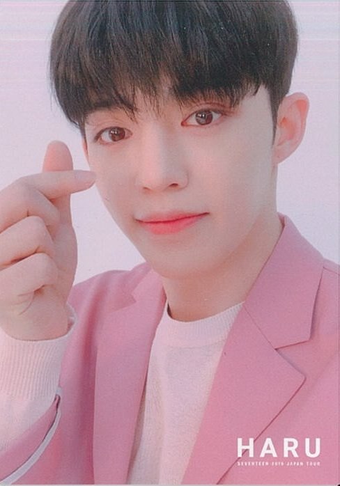 SEVENTEEN S.COUPS 2019 HARU 35 | まんだらけ Mandarake