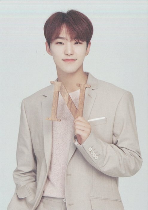 SEVENTEEN HOSHI 2019 ODE to You IN JAPAN 109 | まんだらけ Mandarake