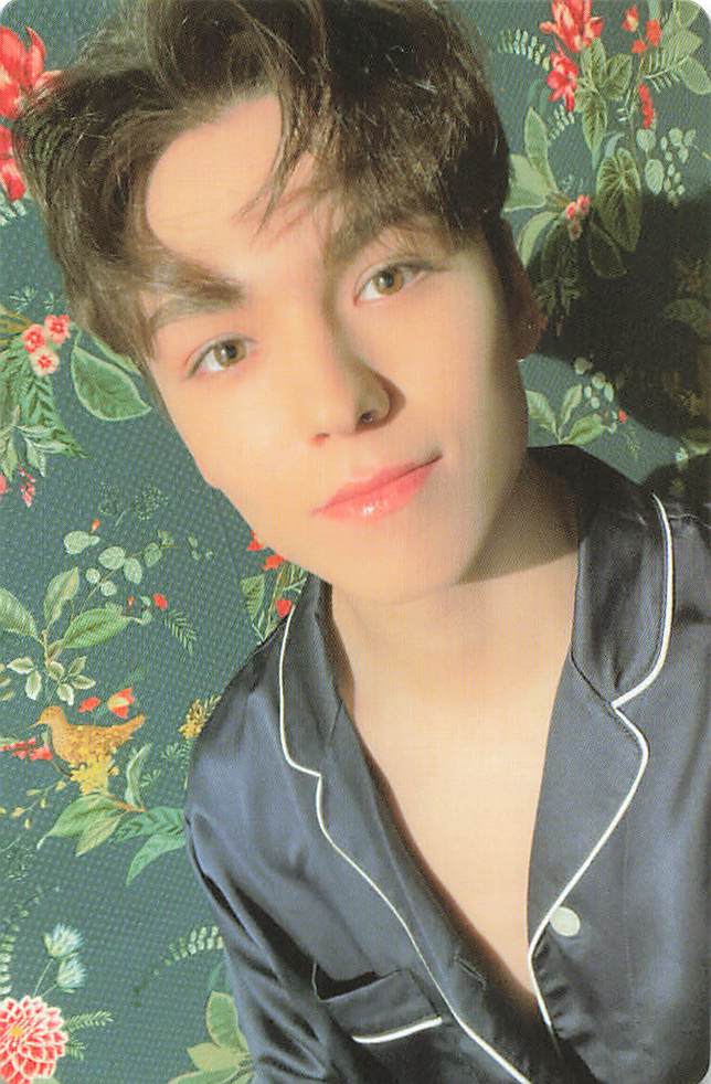 SEVENTEEN Op.1 VERNON Attacca 24 | まんだらけ Mandarake