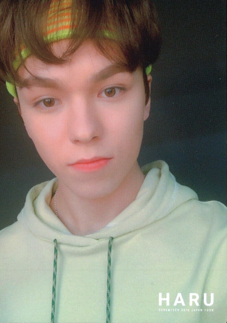 SEVENTEEN VERNON 2019 HARU 74 | まんだらけ Mandarake