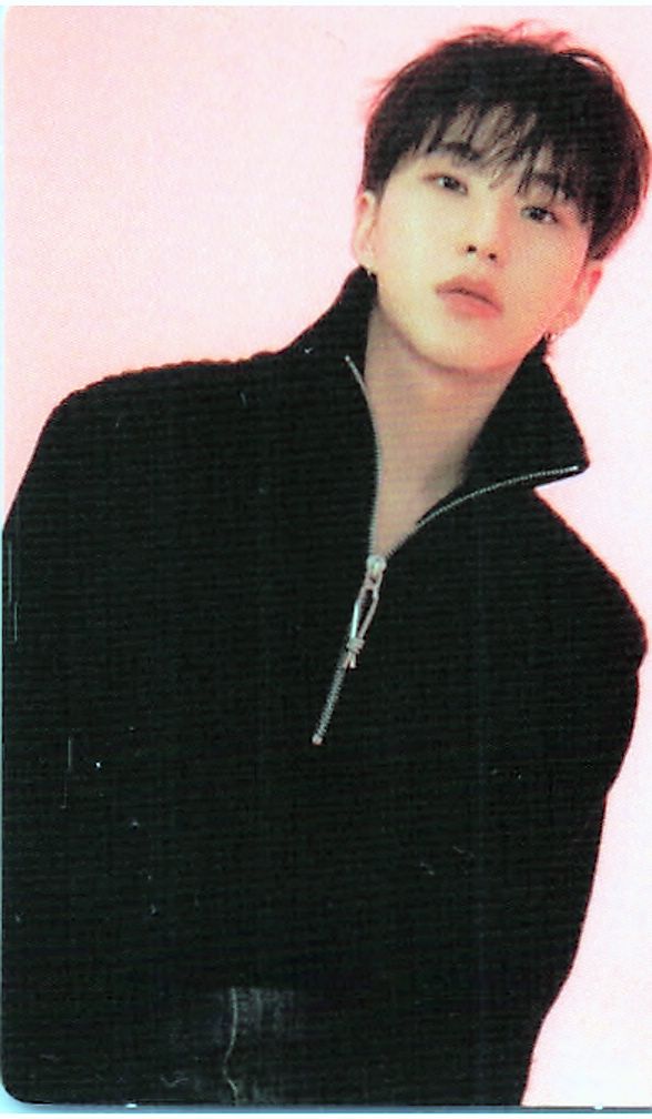 SEVENTEEN HOSHI 2024 FOLLOW AGAIN 24 | まんだらけ Mandarake