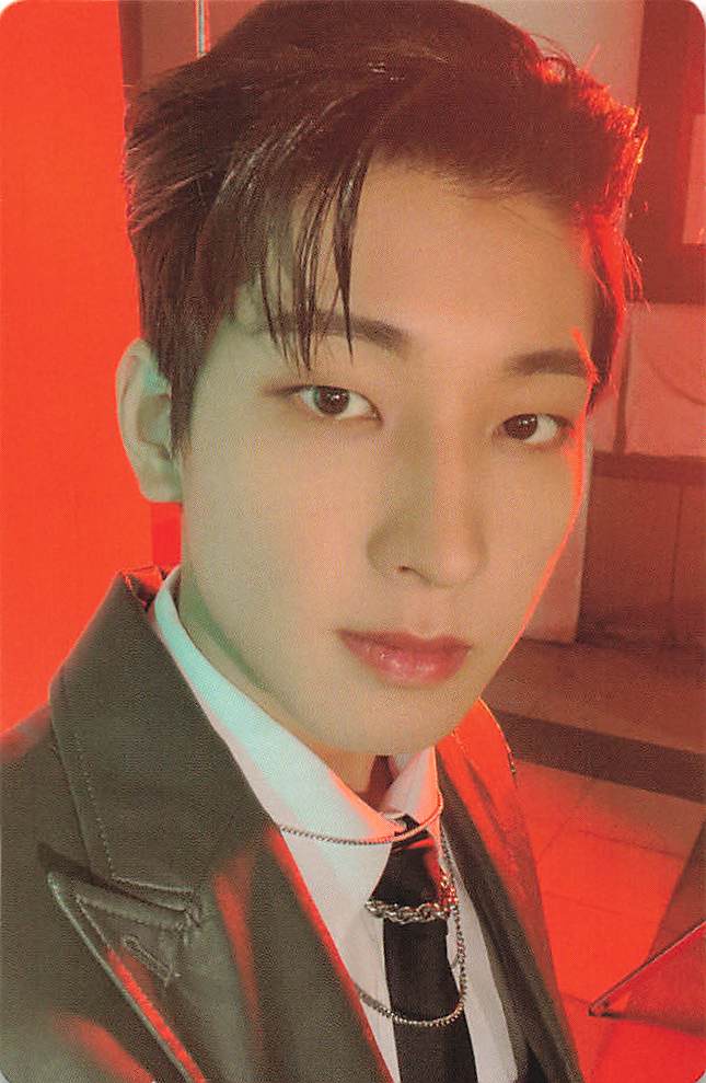 SEVENTEEN Attacca WONWOO Trading Card 113 | Mandarake Online Shop