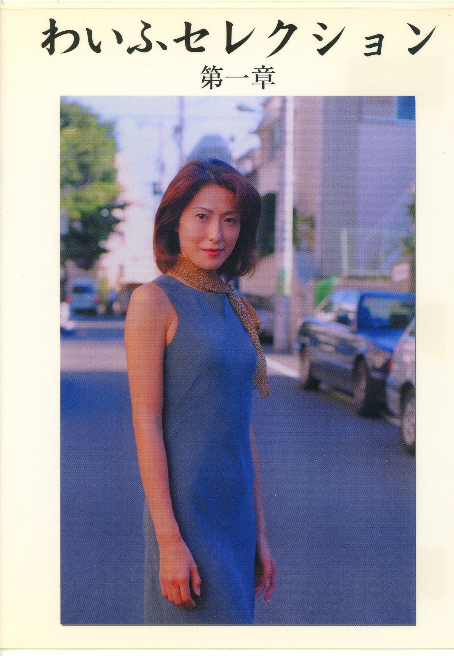 ADO Group アダルトDVD わいふセレクション 第一章 | まんだらけ Mandarake