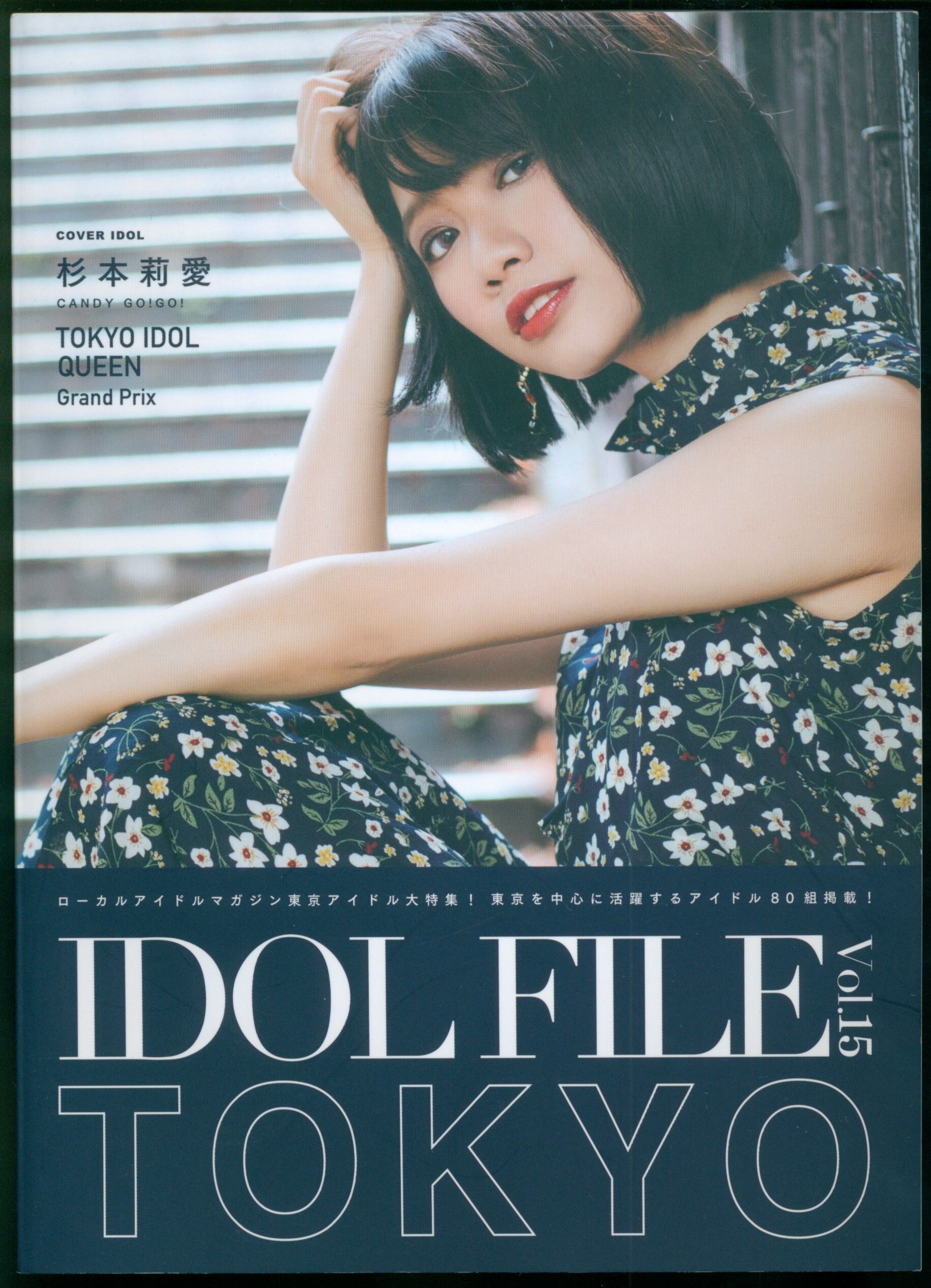 シンコーミュージックエンターテイメント IDOL FILE 15 | まんだらけ Mandarake