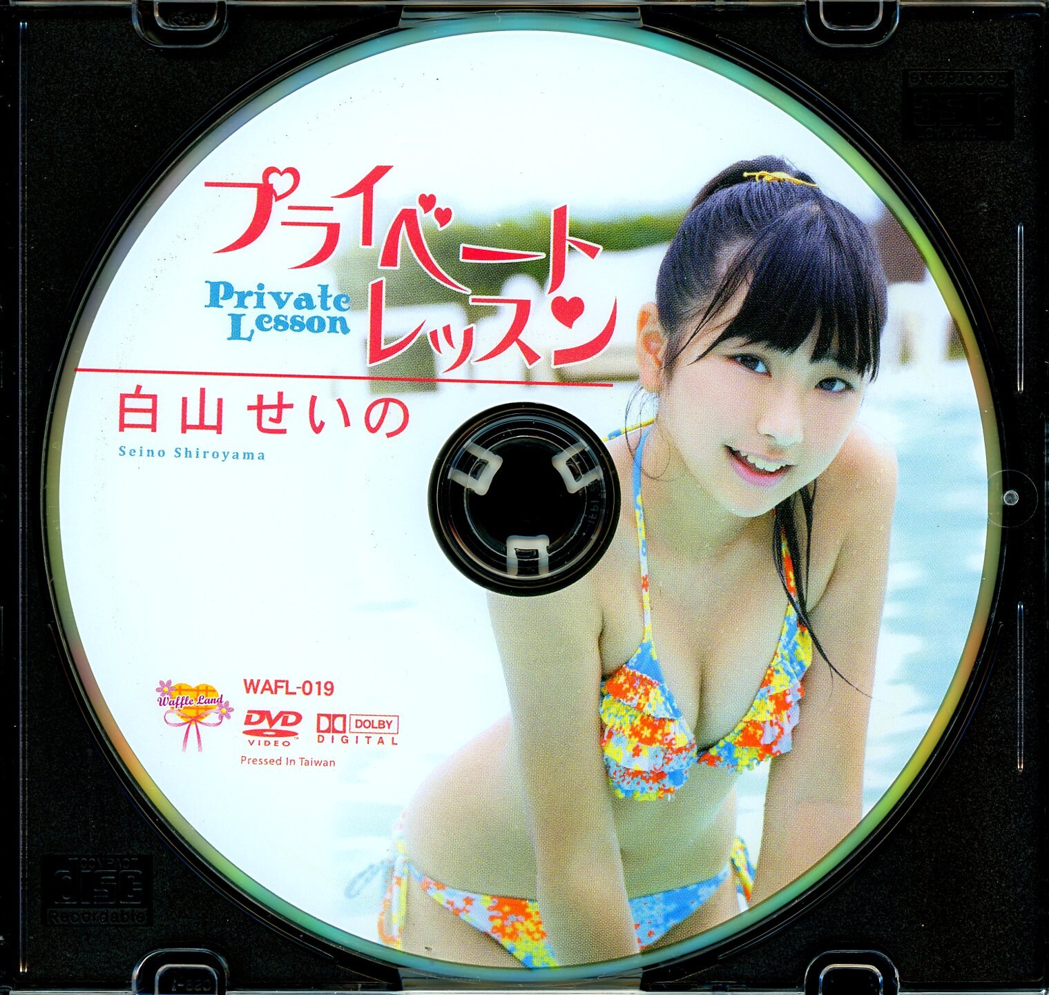 Waffle Land DVD 白山せいの プライベートレッスン | まんだらけ Mandarake