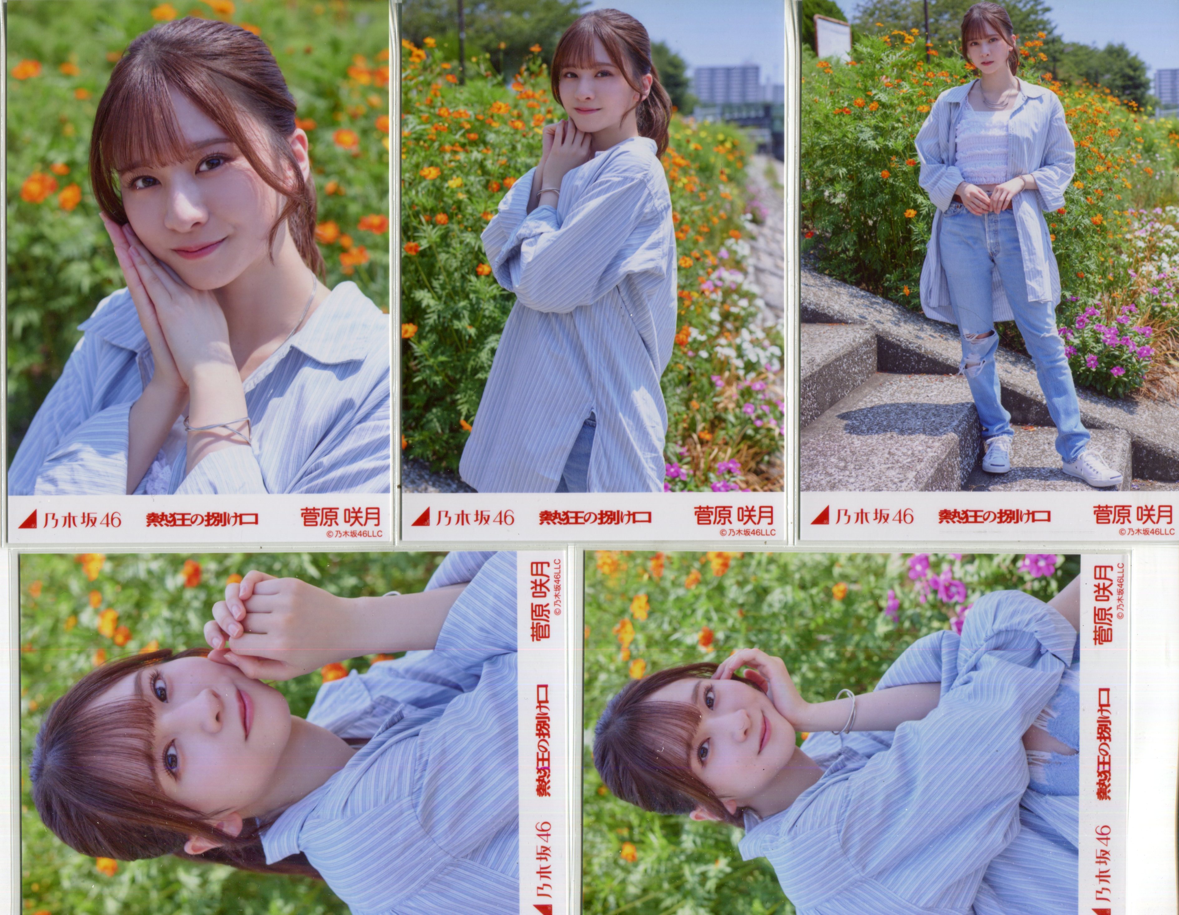 乃木坂46 2024年8月生写真 菅原咲月 「熱狂の捌け口」MV 5枚セット | まんだらけ Mandarake