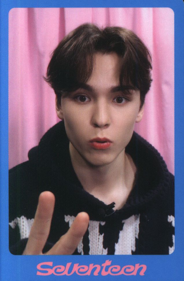 SEVENTEEN D'/ICON VERNON D'FESTA MINI EDITION 1/7 | まんだらけ Mandarake