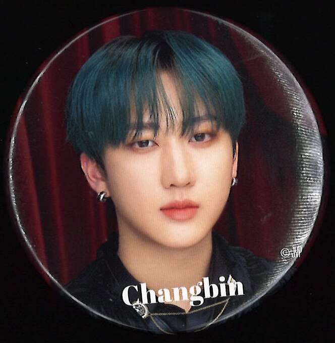 Stray Kids Changbin 2024 109 XMAS POP UP 2ndMD 缶バッジ A | まんだらけ Mandarake