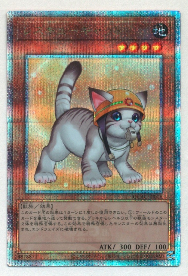 コナミ モンスター【地】 QCAC-JP006 レスキュー・キャット(新規イラスト) 25thシク | まんだらけ Mandarake