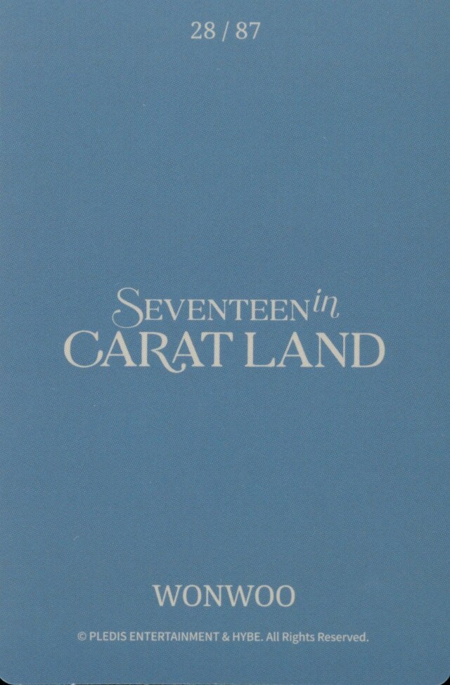 SEVENTEEN WONWOO 2024 CARAT LAND 28/87 | まんだらけ Mandarake