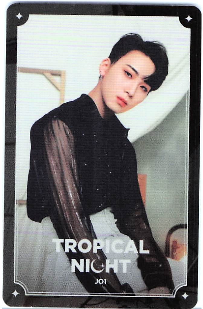 JO1 初回限定盤A 川尻蓮 TROPICAL NIGHT | まんだらけ Mandarake