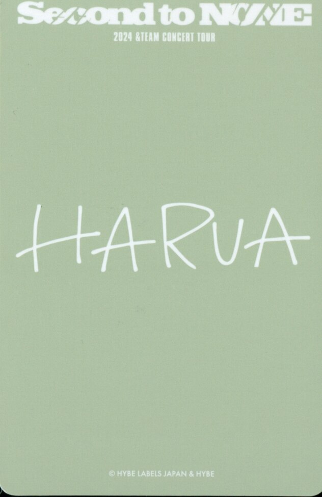 &TEAM HARUA SECOND TO NONE | まんだらけ Mandarake