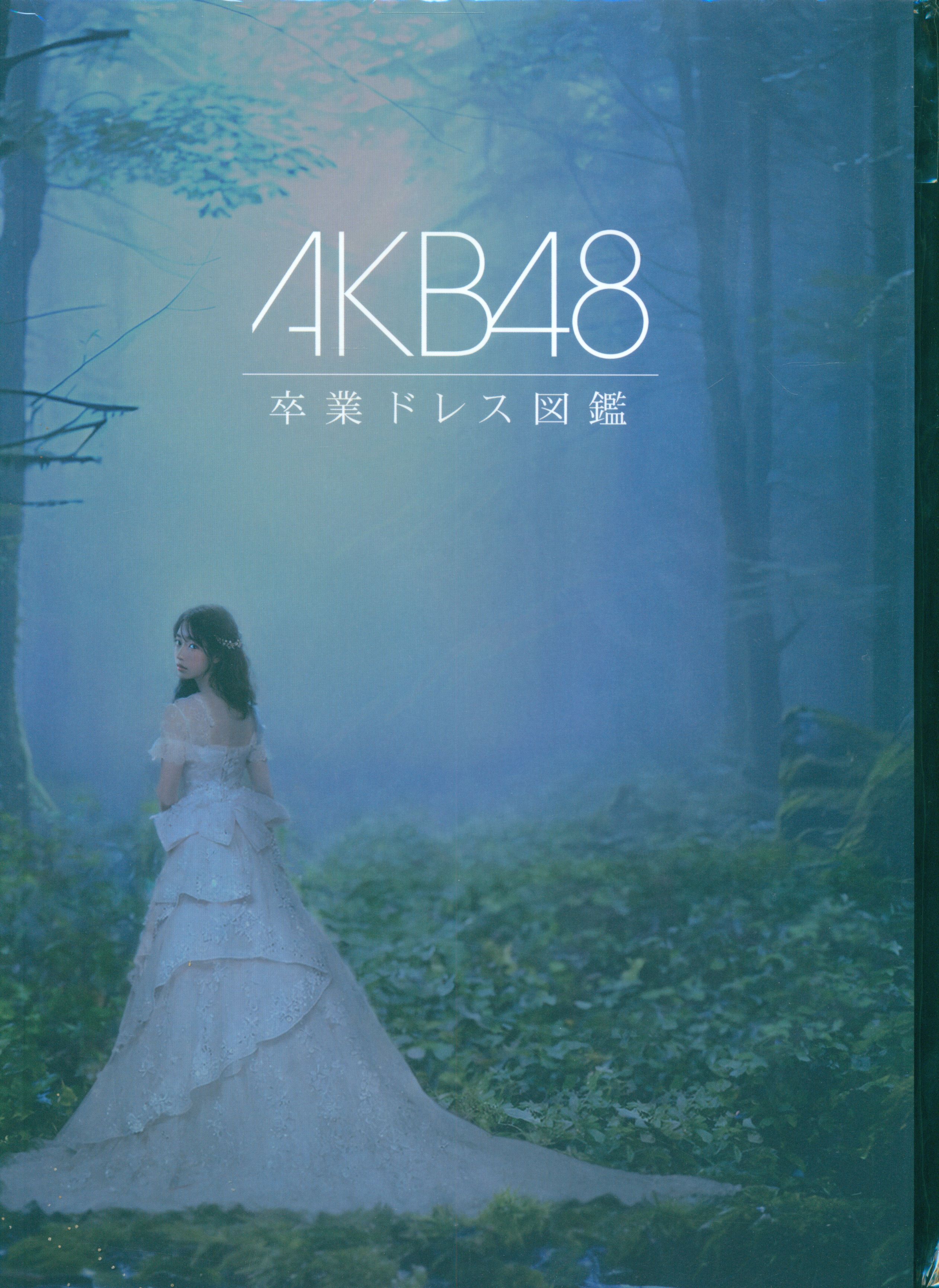 AKB48 大衣装展 AKB48 卒業ドレス図鑑 | まんだらけ Mandarake