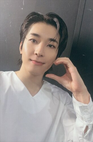 SEVENTEEN FEEL BLUE Ver. WONWOO SPILL THE FEELS | まんだらけ Mandarake