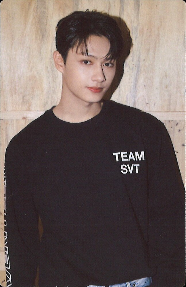 SEVENTEEN JUN 2022 6th FANMEETING CARAT LAND 17 | まんだらけ Mandarake