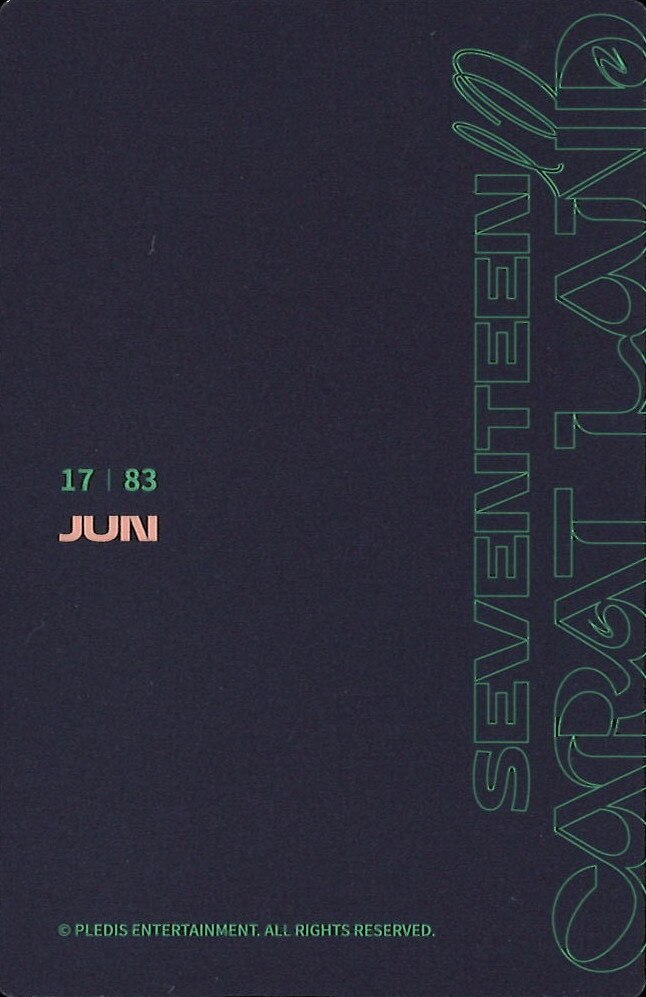 SEVENTEEN JUN 2022 6th FANMEETING CARAT LAND 17 | まんだらけ Mandarake