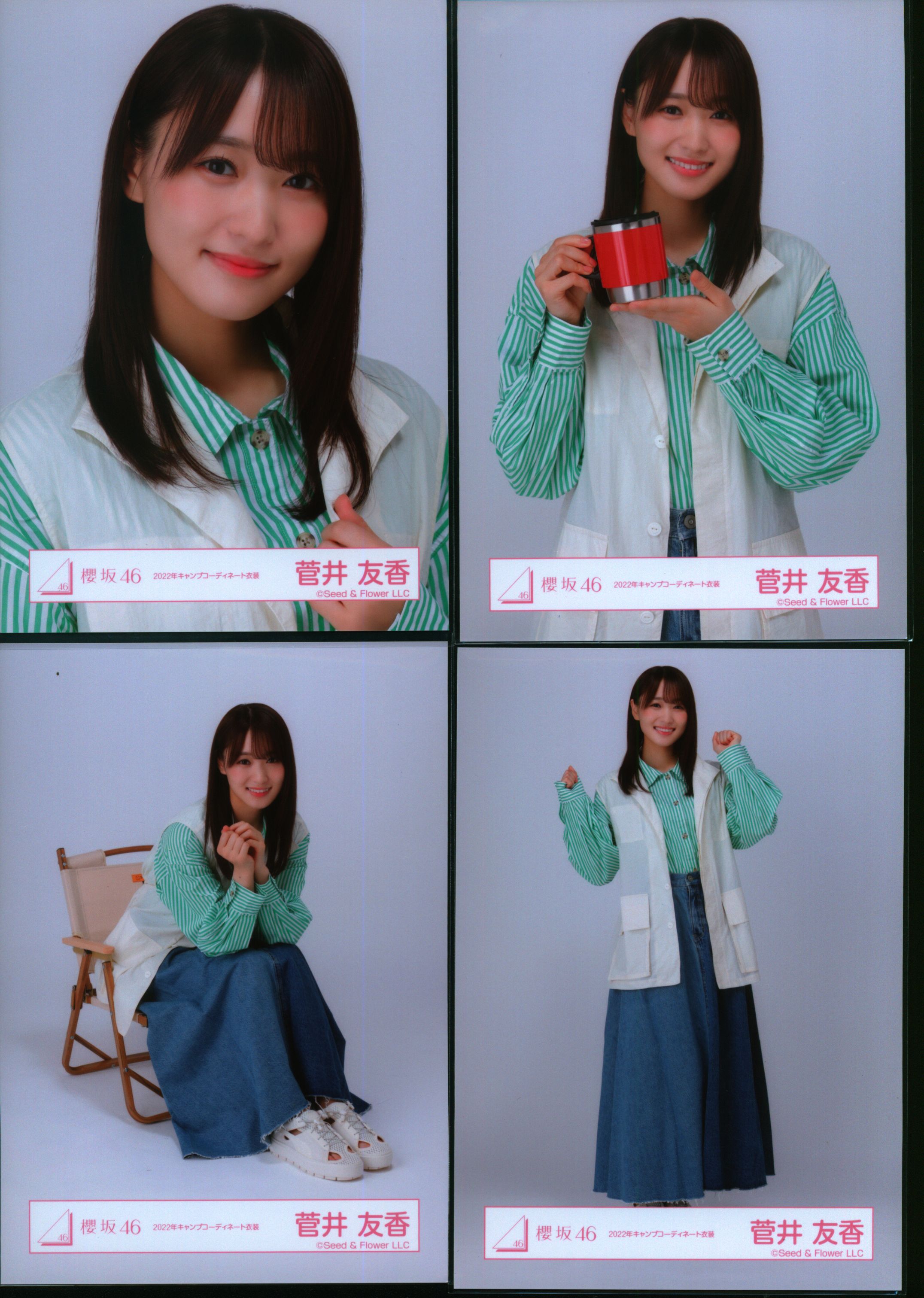櫻坂46 W-KEYAKI FES.2022生写真 菅井友香 2022年キャンプコーディネート衣装 コンプ | まんだらけ Mandarake