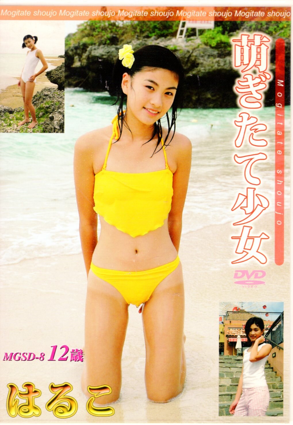 大友写真事務所 DVD はるこ 萌ぎたて少女 | まんだらけ Mandarake