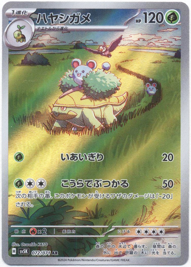 Pokemon SV5K 072/071 ハヤシガメ AR | まんだらけ Mandarake