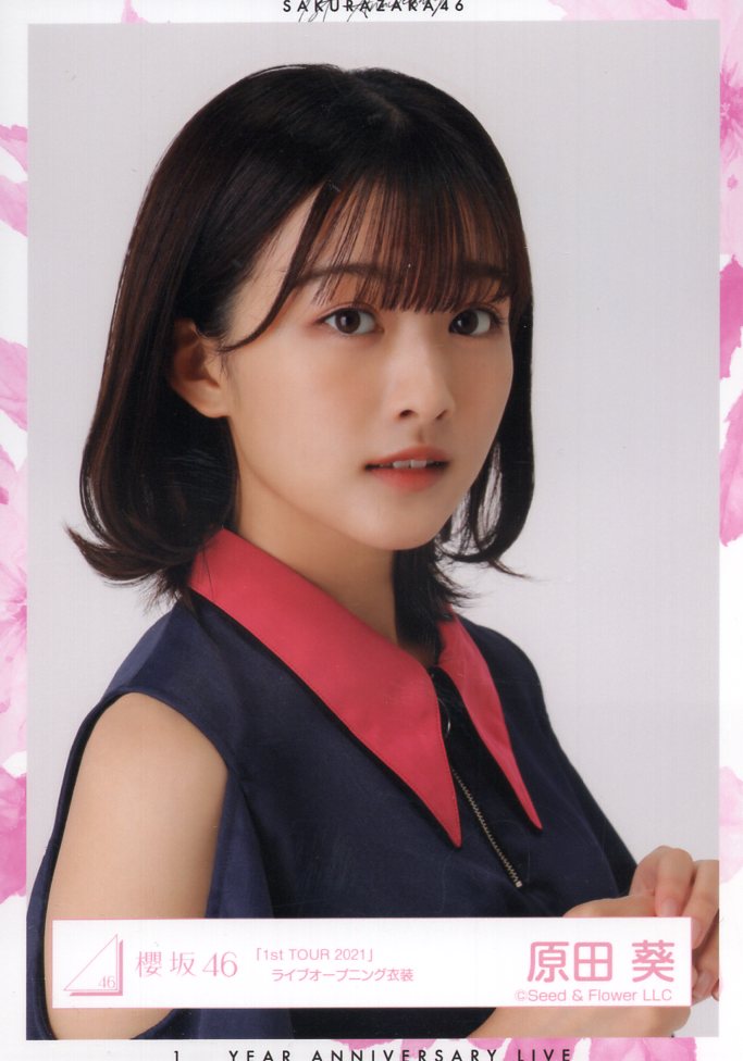 櫻坂46 1st YEAR ANNIVERSARY LIVE 原田葵 「1st TOUR 2021」ライブオープニング衣装 ヨリ | まんだらけ Mandarake