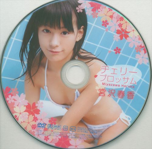 EIC-BOOK(宮沢春香) DVD チェリーブロッサム ※Discのみ | まんだらけ Mandarake