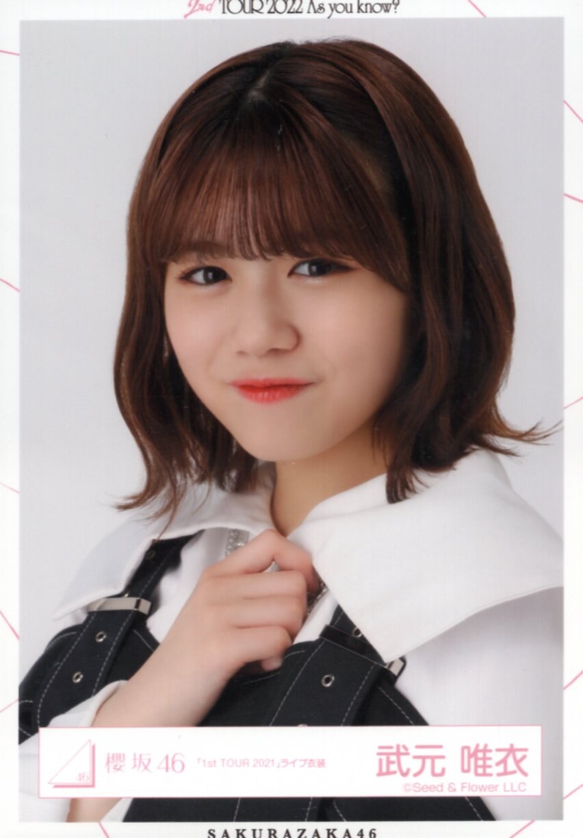 櫻坂46 2nd TOUR 2022 As you know? 武元唯衣 「1st TOUR 2021」ライブ衣装 ヨリ | まんだらけ Mandarake