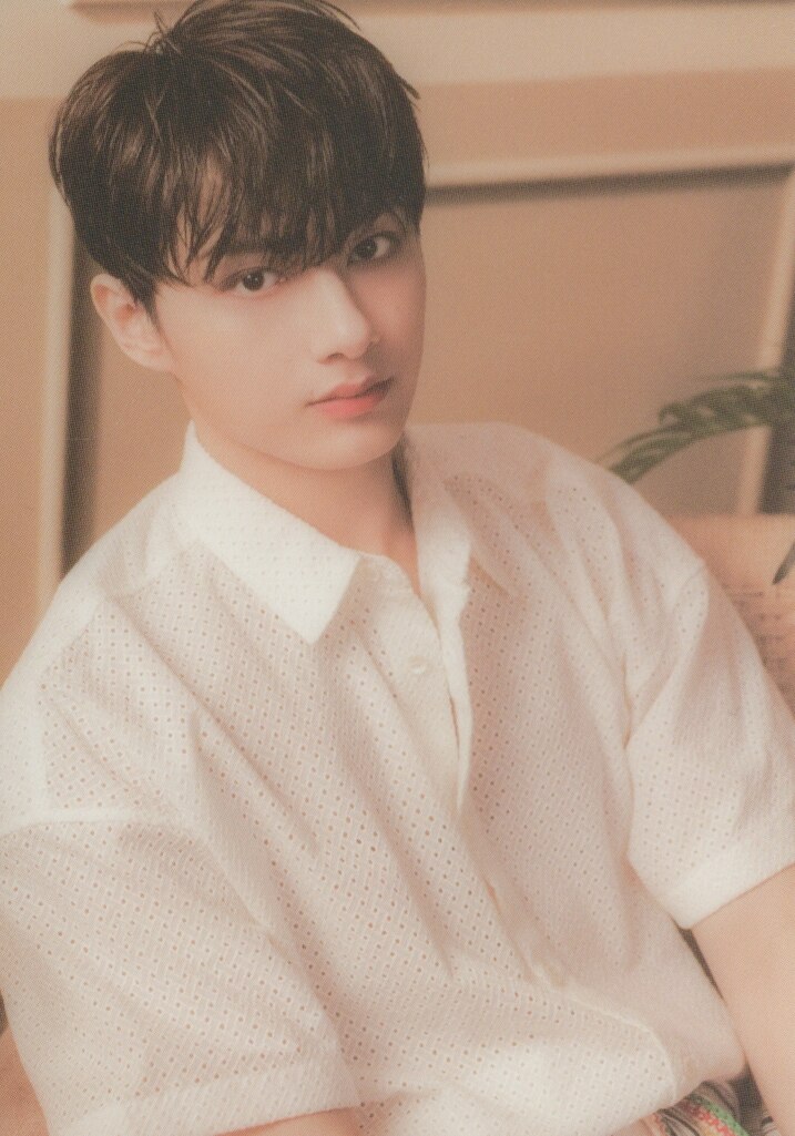 SEVENTEEN JUN CAFE2022 SUNSET RESORT | まんだらけ Mandarake