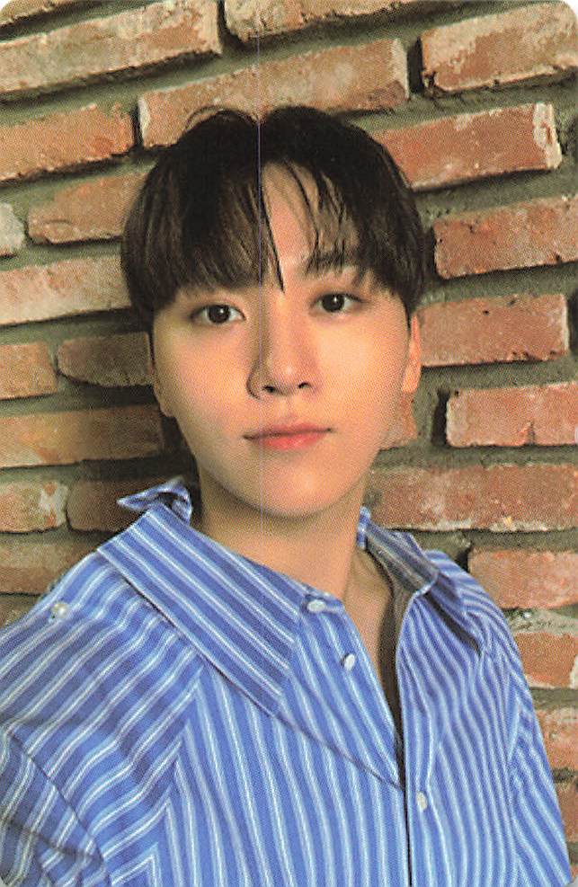SEVENTEEN Begin SEUNGKWAN An Ode 青 | まんだらけ Mandarake