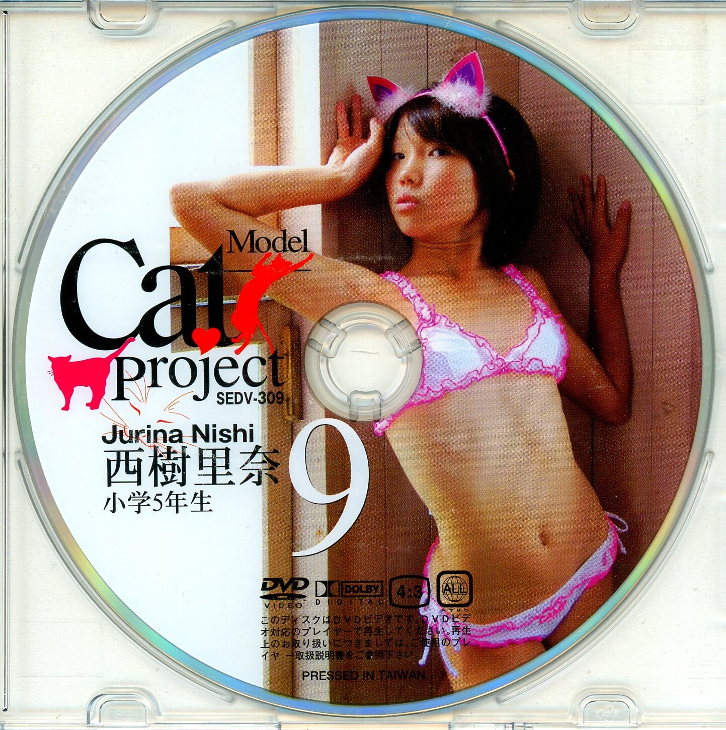 office1000 DVD TsurutaRio Cat Model Project 3 | まんだらけ Mandarake
