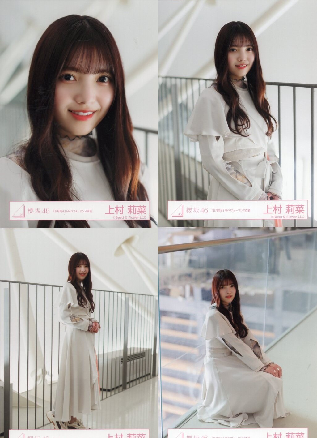 櫻坂46 渡邉理佐卒業コンサート 上村莉菜 「五月雨よ」mvパフォーマンス衣装 コンプ まんだらけ Mandarake