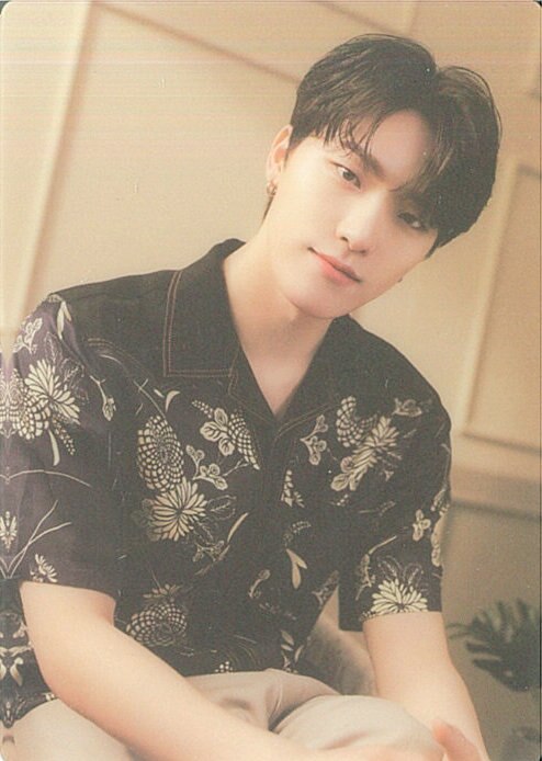 SEVENTEEN DINO CAFE2022 SUNSET RESORT EC | まんだらけ Mandarake