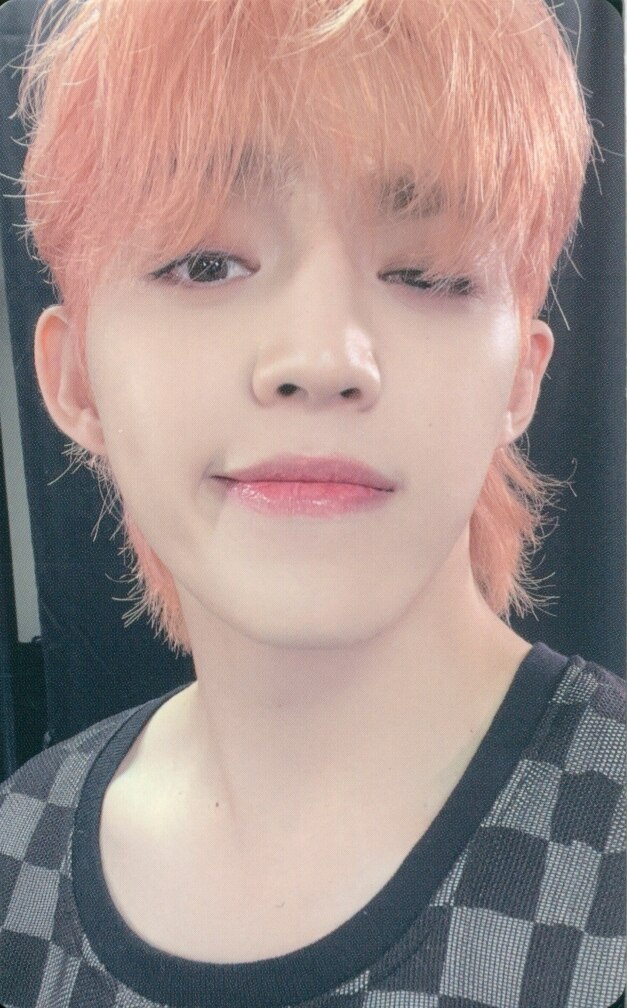 SEVENTEEN S.COUPS 2022 CARAT LAND MEMORY BOOK+ | まんだらけ Mandarake
