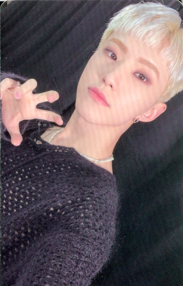 SEVENTEEN HOSHI 2022 CARAT LAND MEMORY BOOK+ | まんだらけ Mandarake