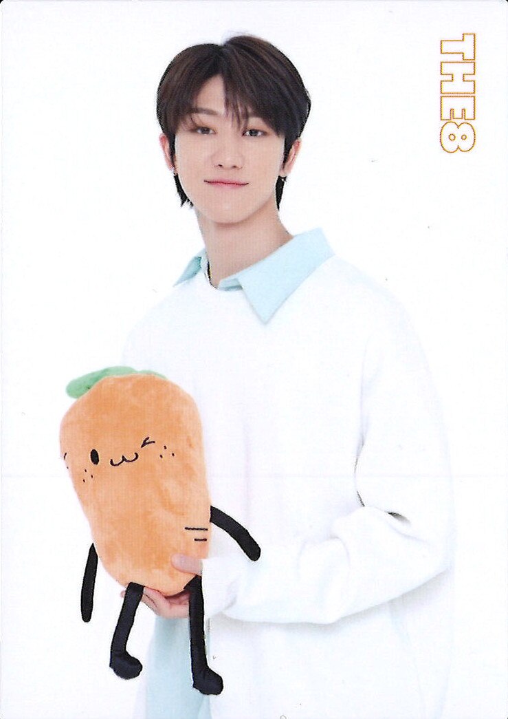 SEVENTEEN THE8 2019 Happy Ending SHOWCASE 22 | まんだらけ Mandarake